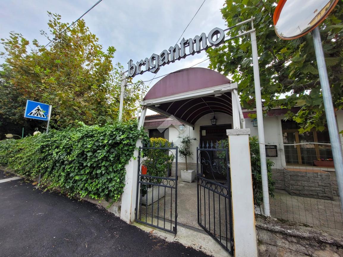 Negozio in affitto a Trieste