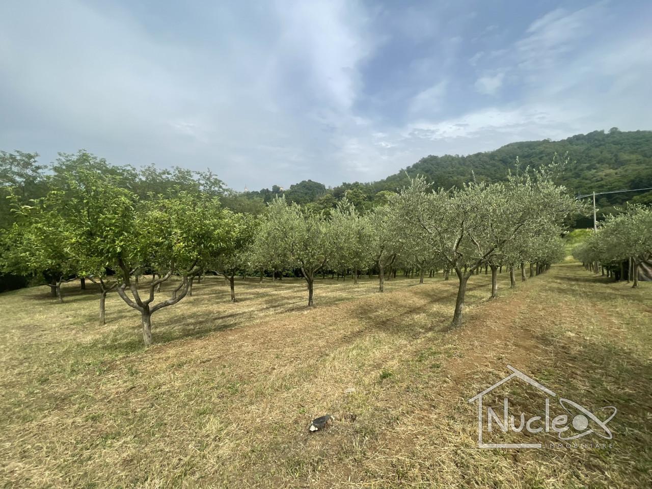 Terreno agricolo in vendita a Teolo