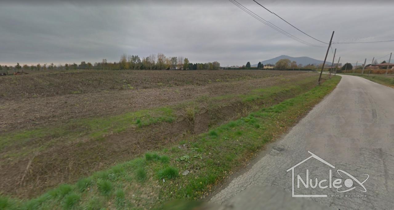 Terreno agricolo in vendita a Pernumia