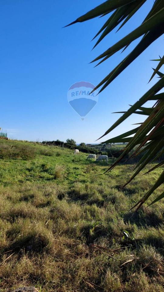Terreno agricolo in vendita a Menfi