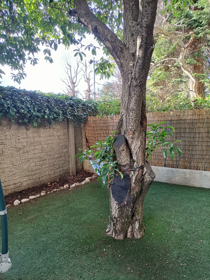 Appartamento in vendita a Legnano