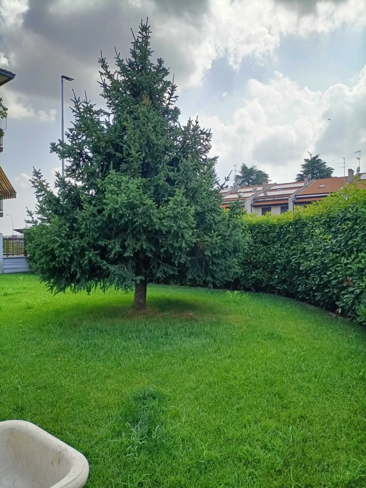 Appartamento in vendita a Legnano