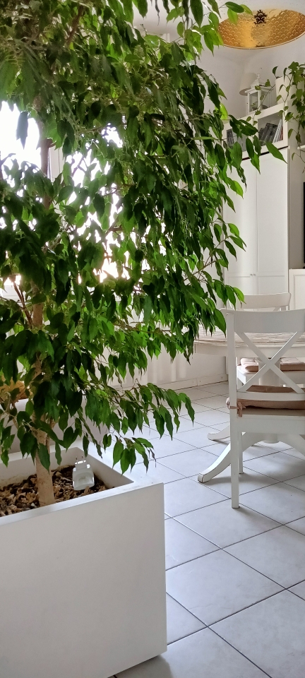 Appartamento in vendita a San Vittore Olona