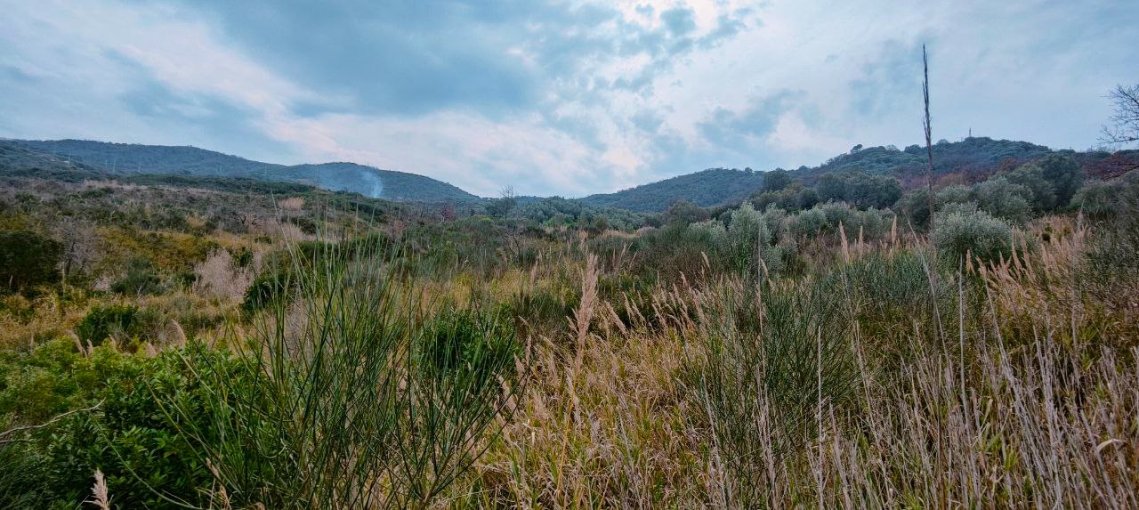 Terreno agricolo in vendita a Ascea