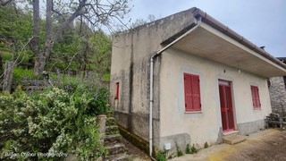 Terreno agricolo in vendita a Ascea