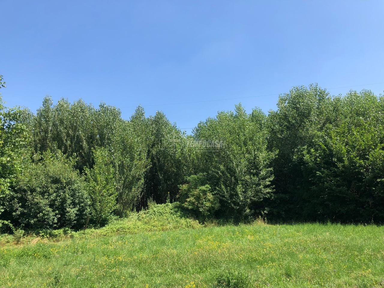 Terreno agricolo, Giaveno