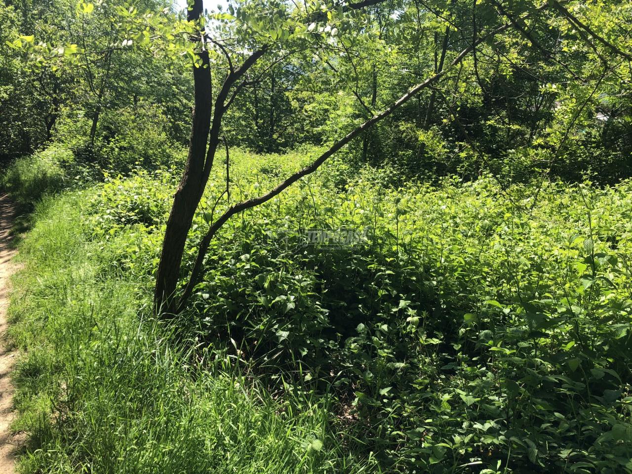 Terreno edificabile in vendita a Giaveno