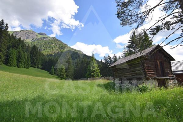 Baita in vendita a Mazzin