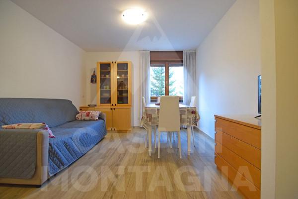 Appartamento in affitto a Canazei