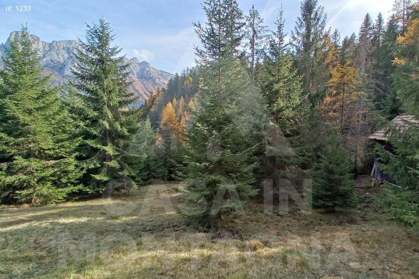 Terreno agricolo in vendita a San Giovanni di Fassa