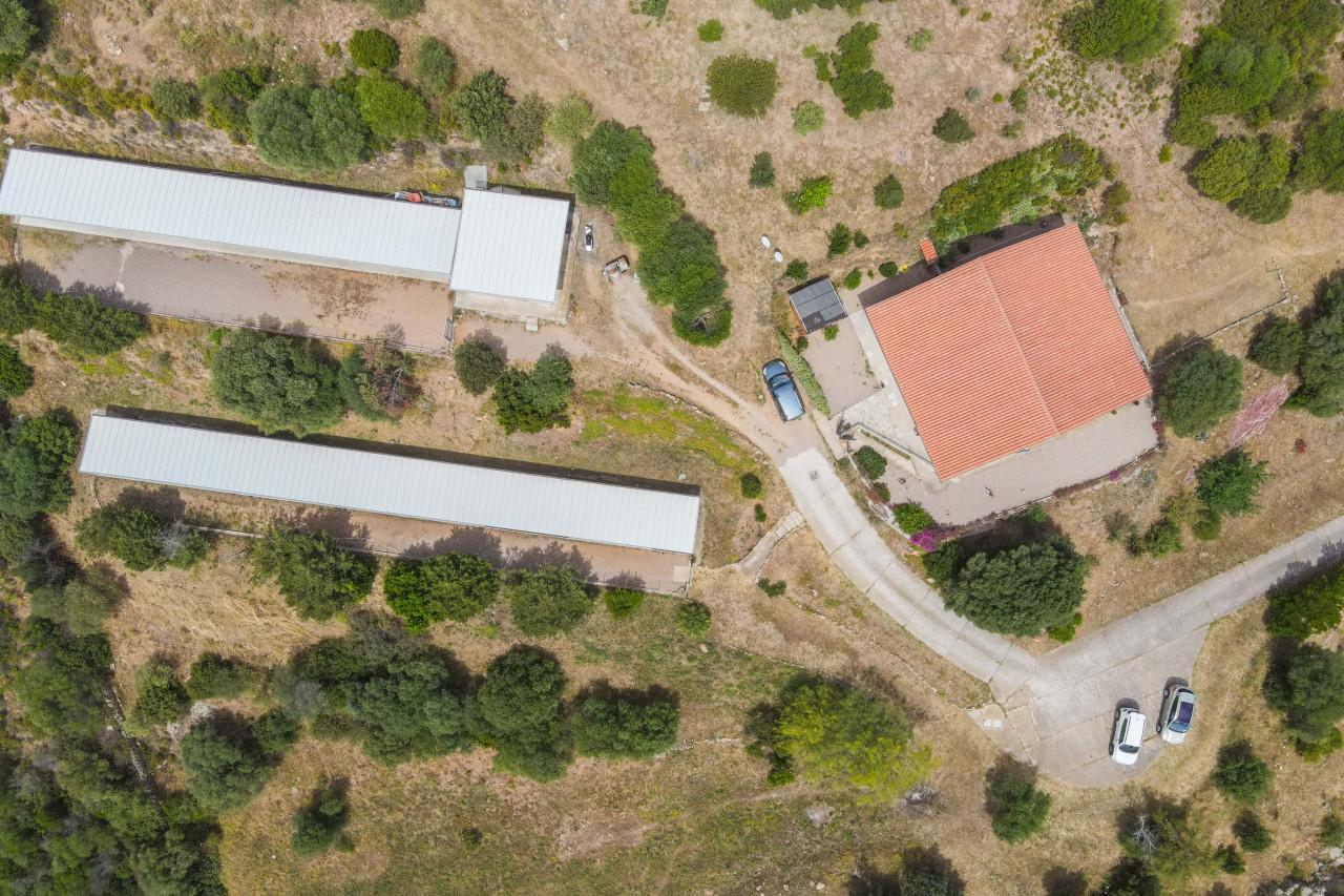 Casa indipendente in vendita a Loiri Porto San Paolo