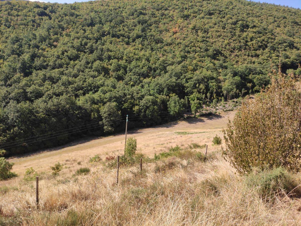 Terreno agricolo in vendita a Spoleto