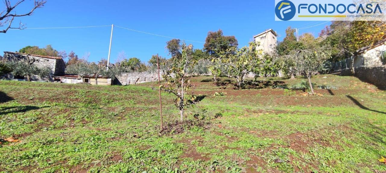 Terreno agricolo in vendita a Seravezza