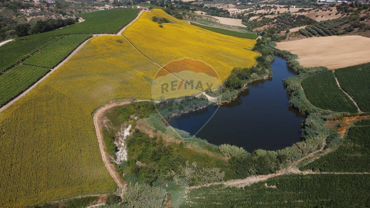 Azienda agricola in vendita a Alanno