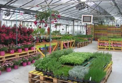 Azienda agricola in vendita a Albenga