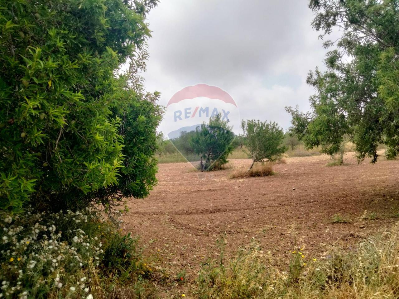 Terreno agricolo in vendita a Pachino