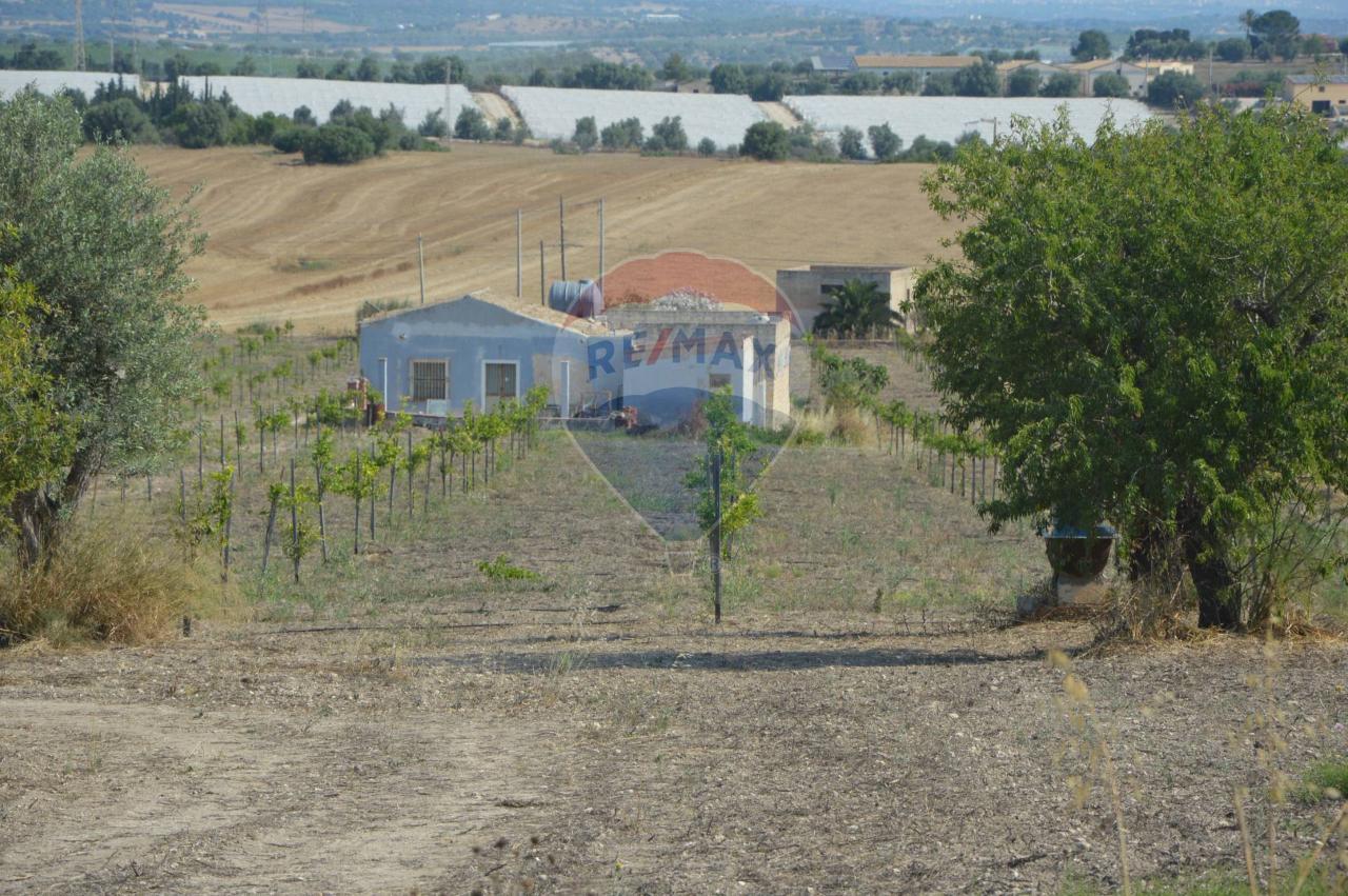Terreno agricolo in vendita a Pachino