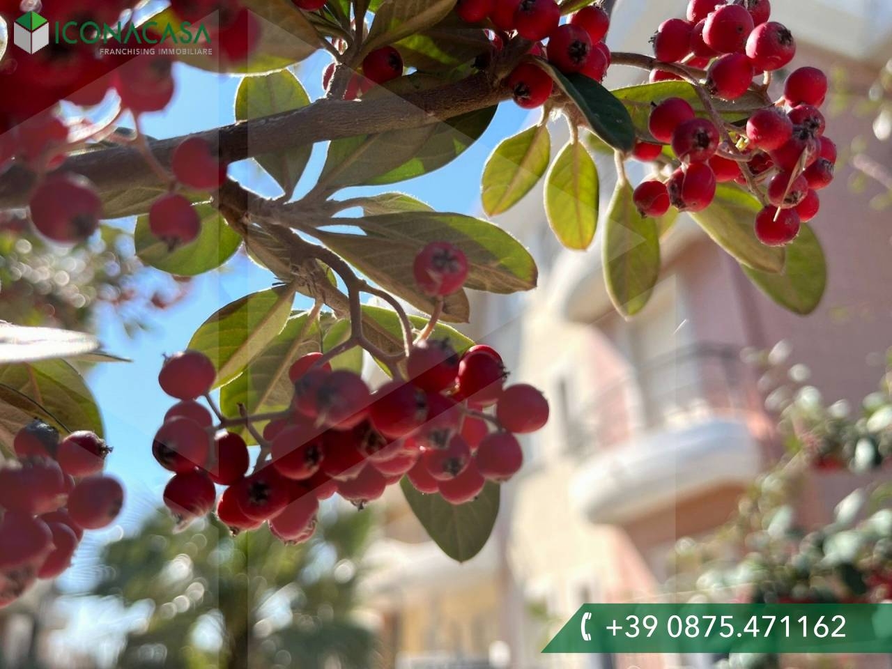 Appartamento in vendita a Campomarino