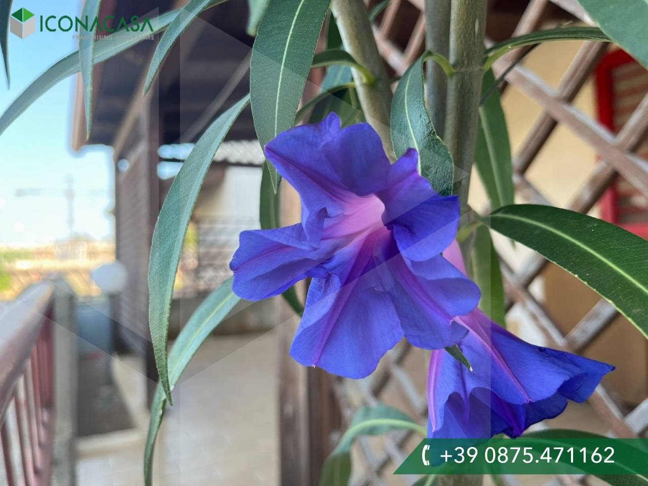 Appartamento in vendita a Campomarino