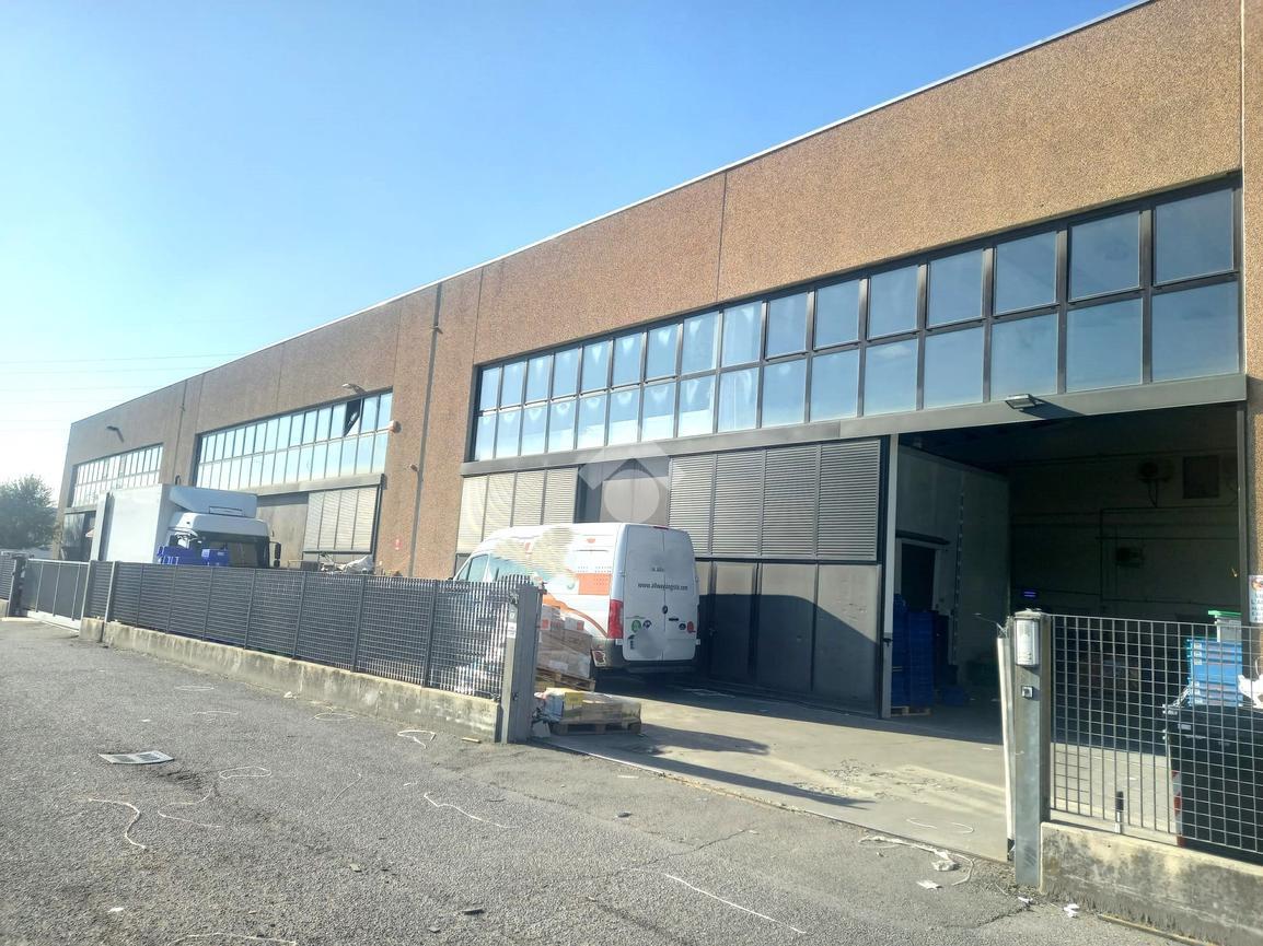 Capannone in affitto a Parma