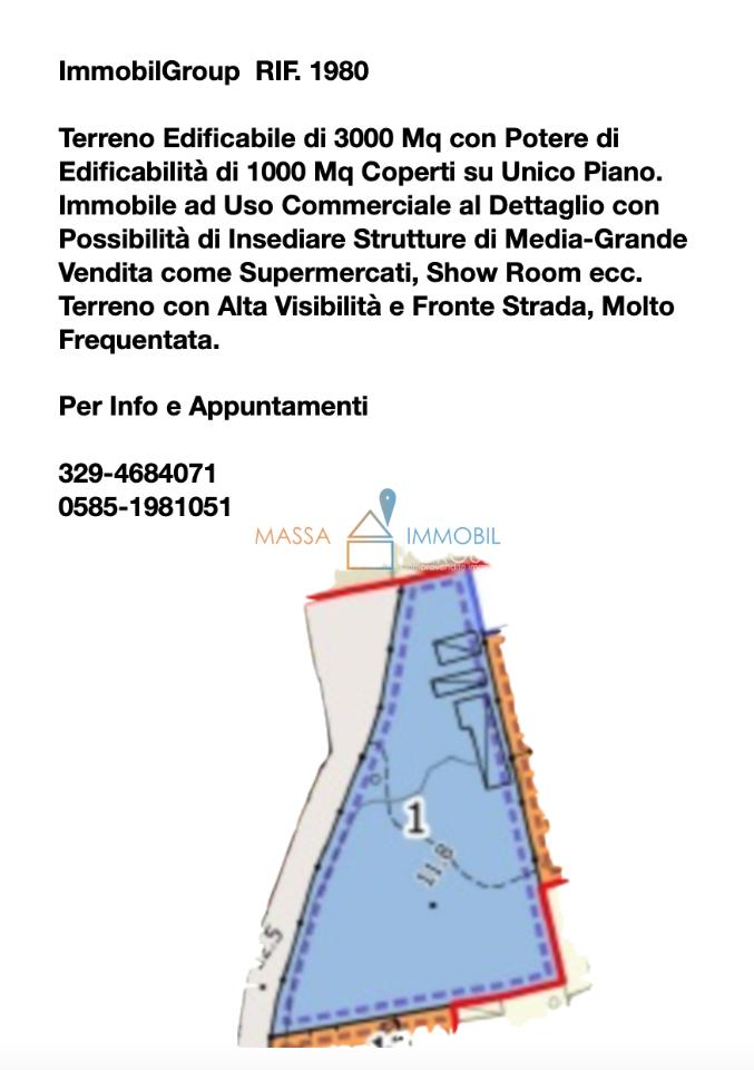 Negozio in vendita a Seravezza