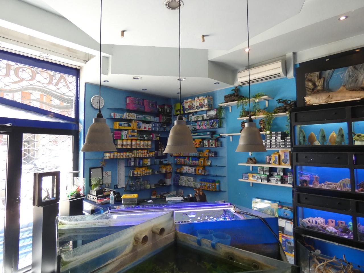 Negozio in vendita a Roma