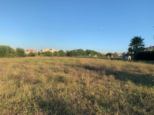 Terreno edificabile residenziale in vendita a Zambrone