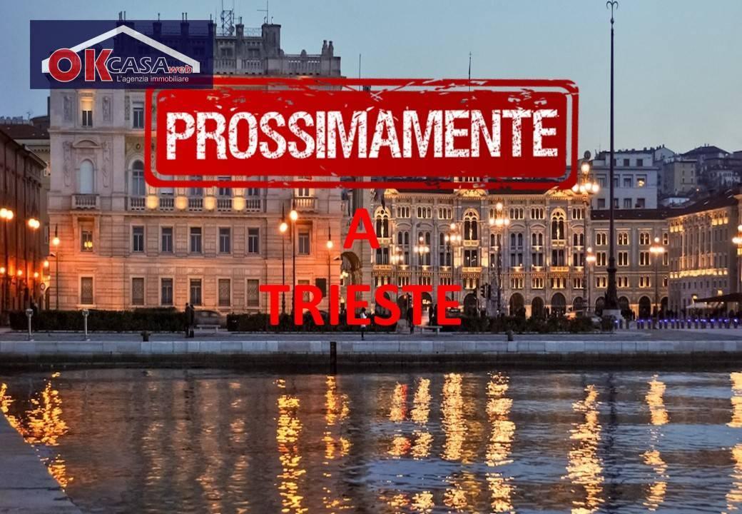 Casa indipendente in vendita a Trieste