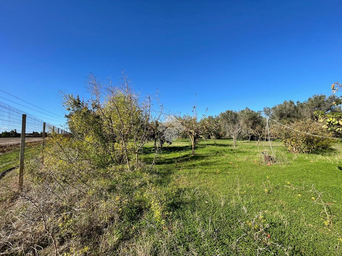 Villa in vendita a Mesagne