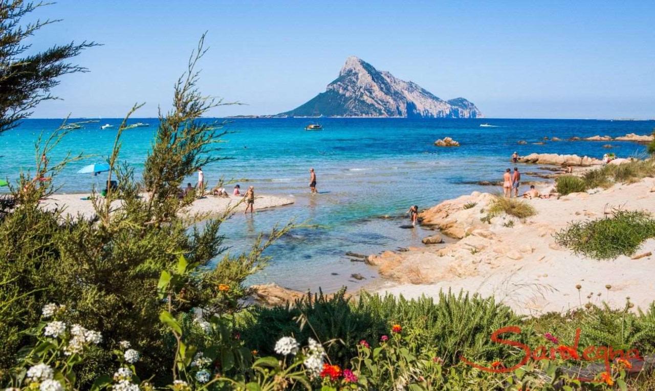 Villa unifamiliare in vendita a Loiri Porto San Paolo