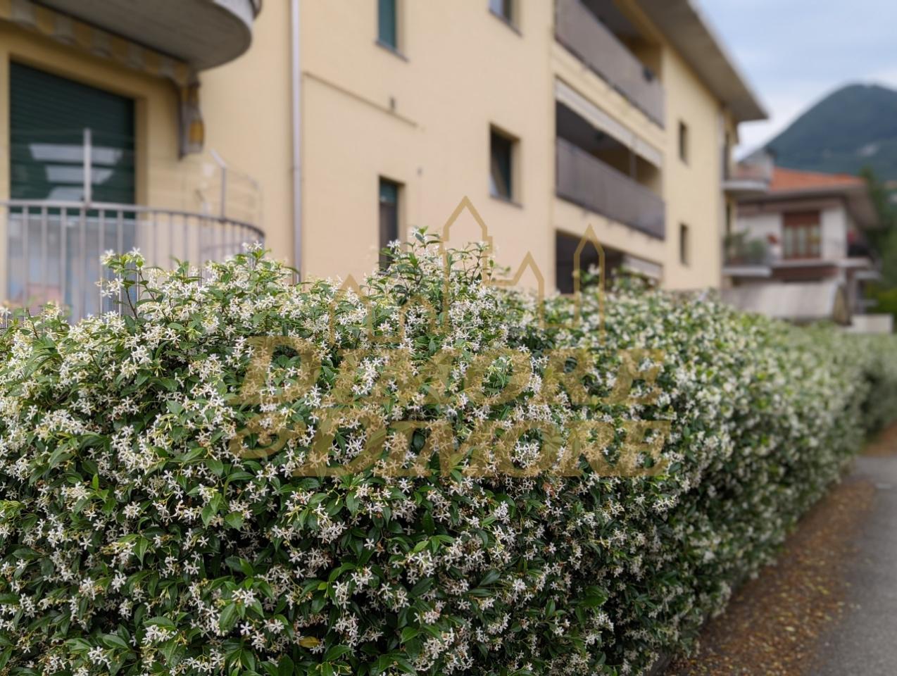 Appartamento in vendita a Verbania