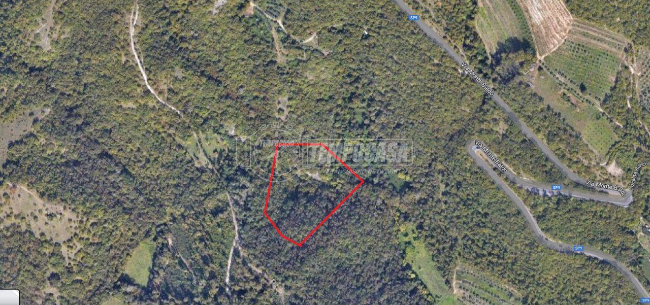 Terreno agricolo in vendita a Costermano