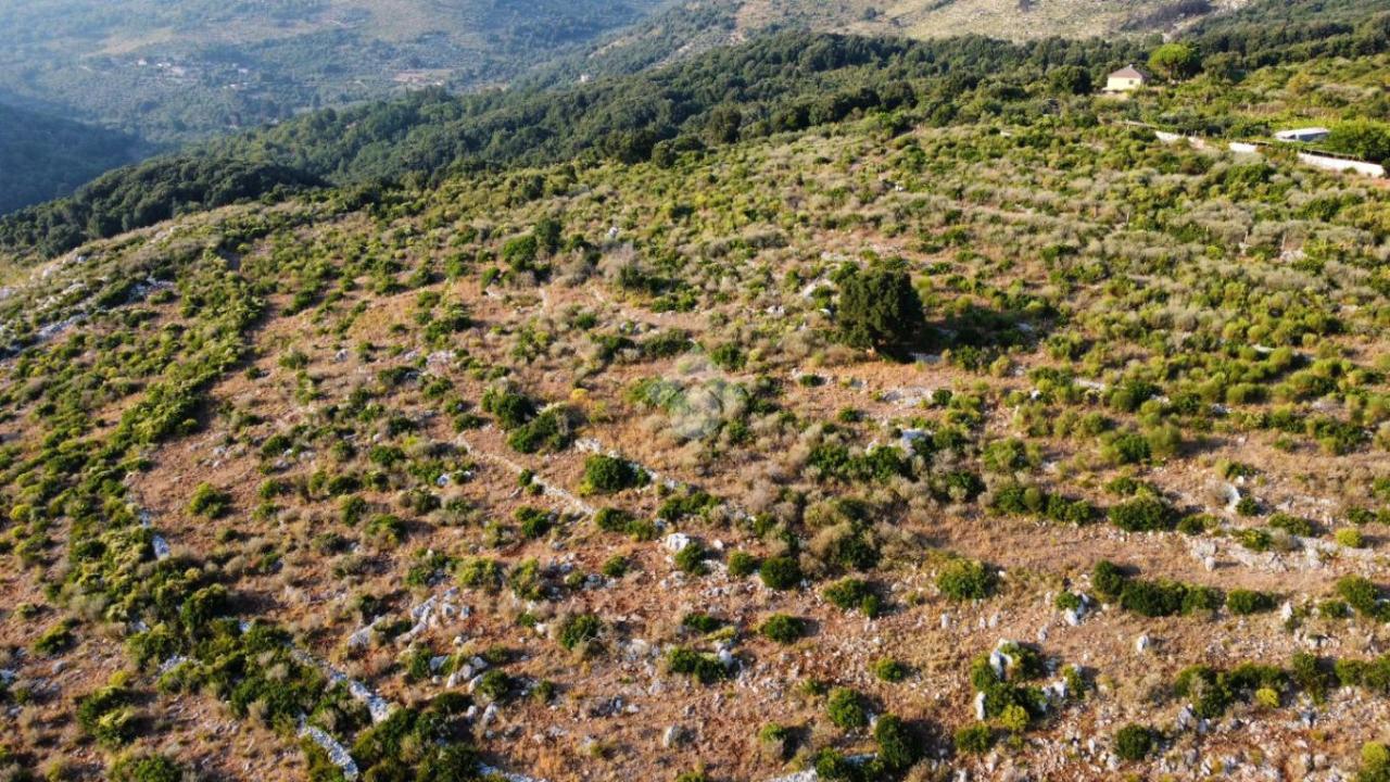 Terreno agricolo in vendita a Terracina
