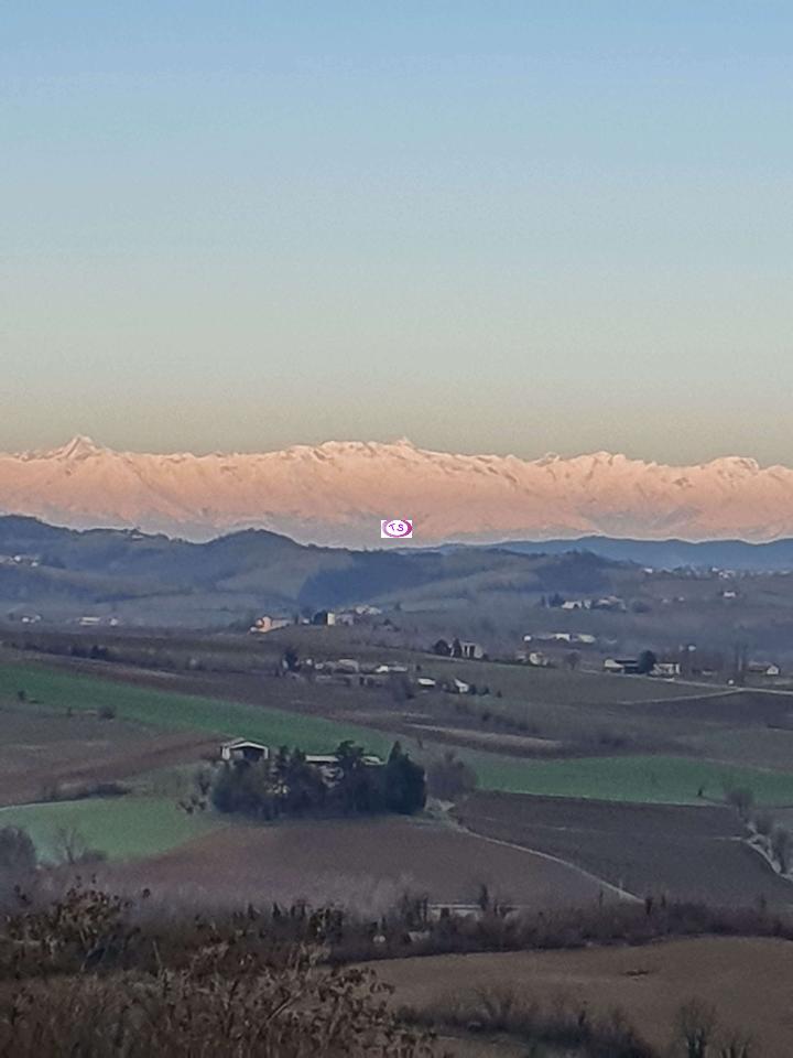 Appartamento in affitto a Camagna Monferrato