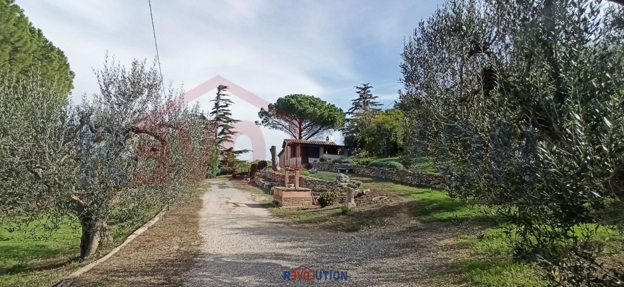 Casa indipendente in vendita a Montalto Di Castro