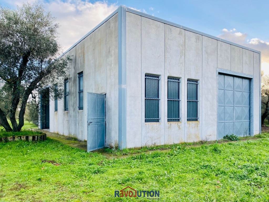 Terreno agricolo in vendita a Canino