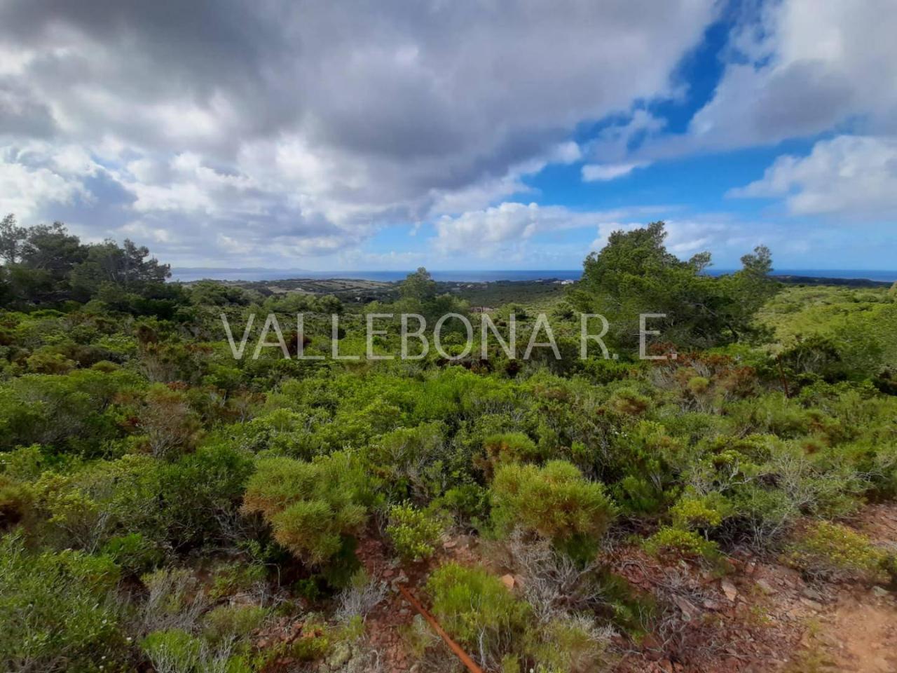 Terreno agricolo in vendita a Carloforte