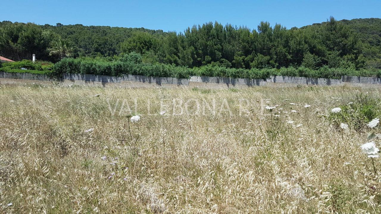 Terreno agricolo in vendita a Carloforte