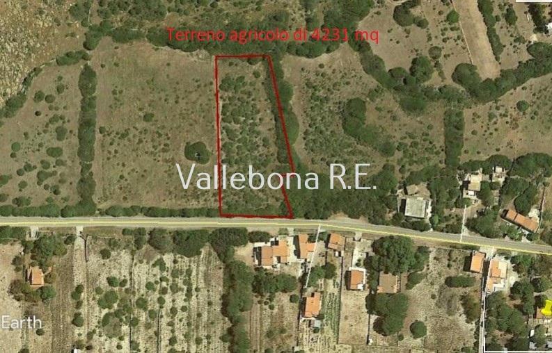 Terreno agricolo in vendita a Carloforte