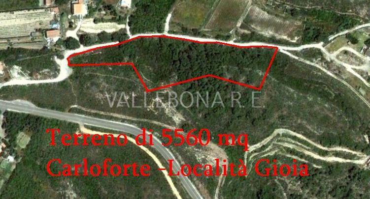 Terreno agricolo in vendita a Carloforte