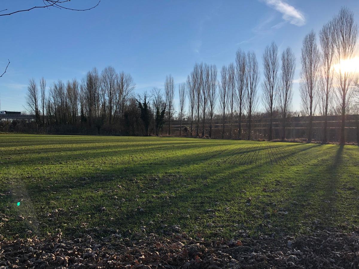 Terreno agricolo in vendita a Legnago
