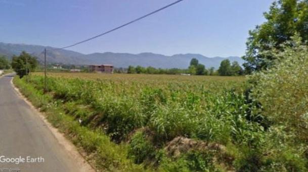Terreno agricolo in vendita a Alife