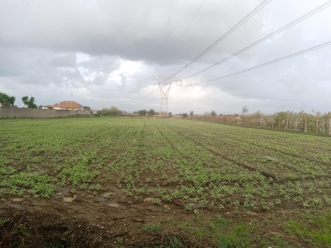 Terreno agricolo in vendita a Giugliano In Campania
