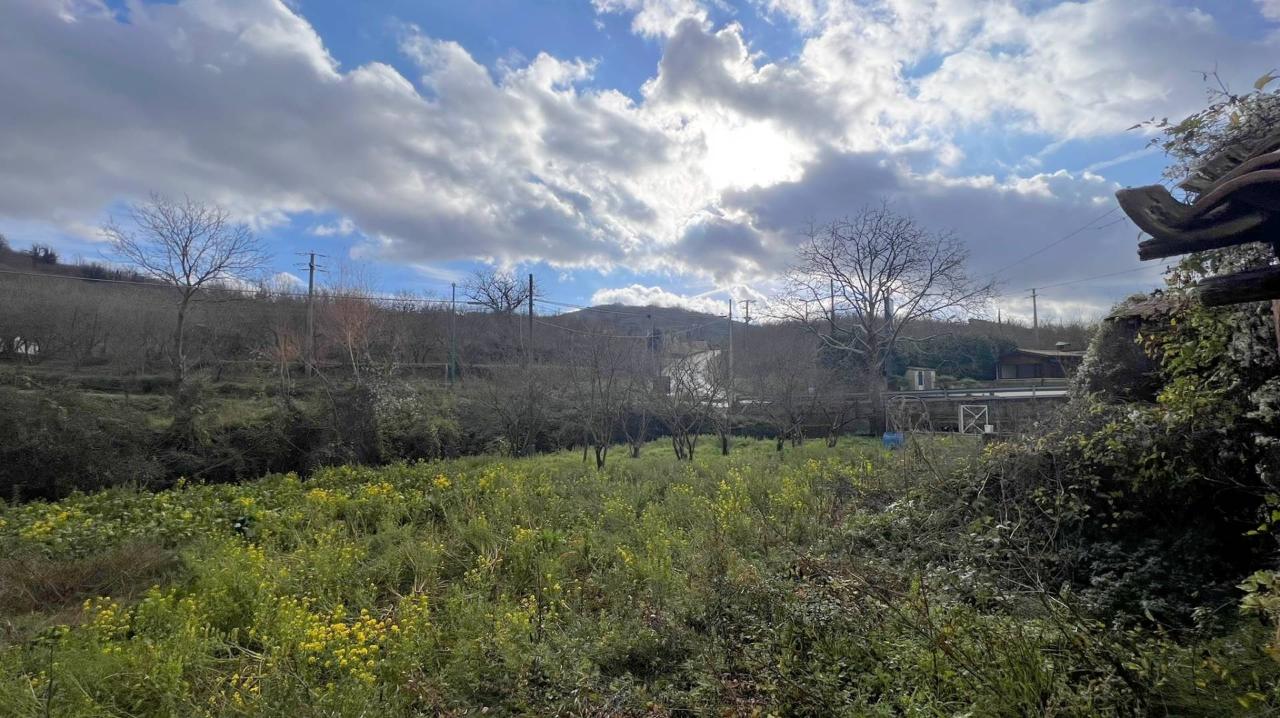Casa indipendente in vendita a Contrada