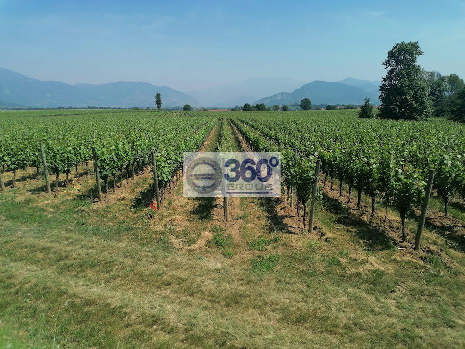 Terreno agricolo in vendita a Corte Franca