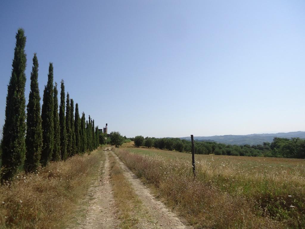 Casa colonica in vendita a Castelfiorentino