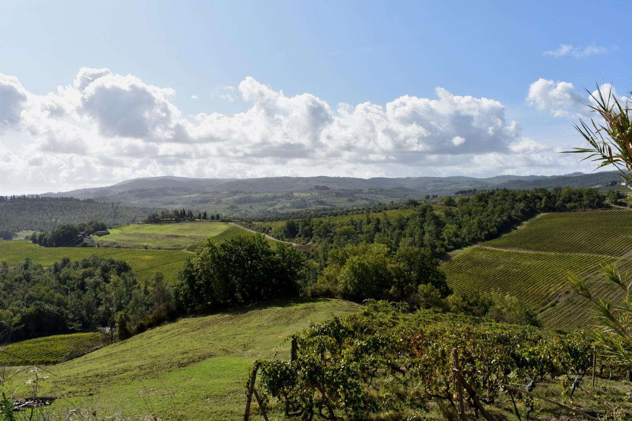 Casa colonica in vendita a Certaldo
