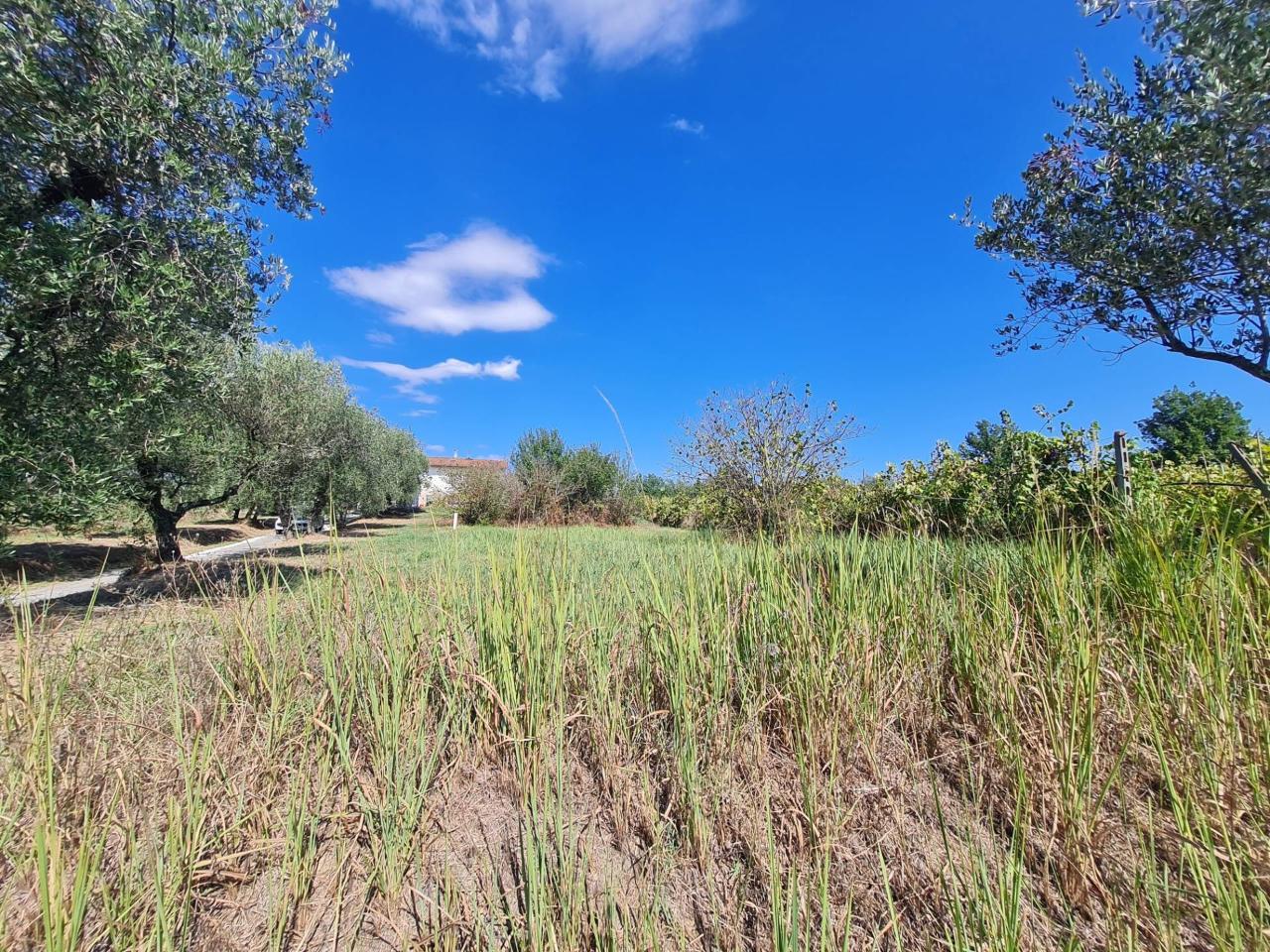 Terreno edificabile in vendita a Larciano
