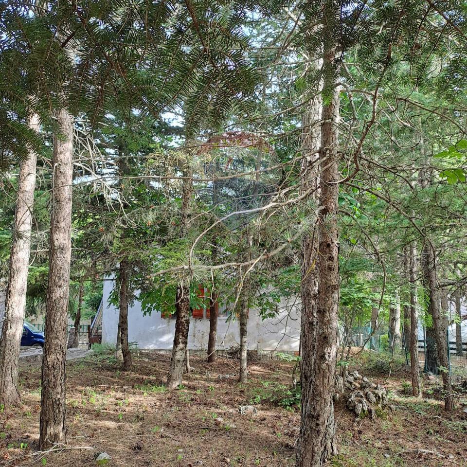 Casa indipendente in vendita a Petralia Sottana Foto-37