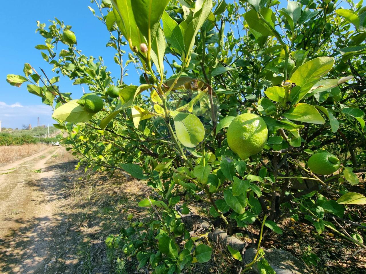 Terreno agricolo in vendita a Bagheria